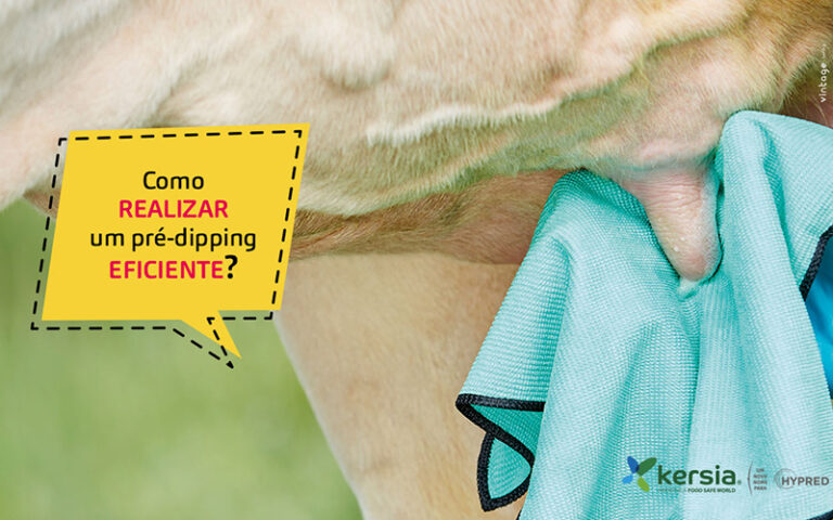 Como realizar um pré-dipping eficiente? - Grupo Kersia
